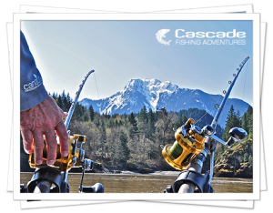 Our Fishing Equipment - Cascade Fishing Adventures