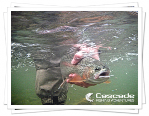 Trout Fishing - Cascade Fishing Adventures